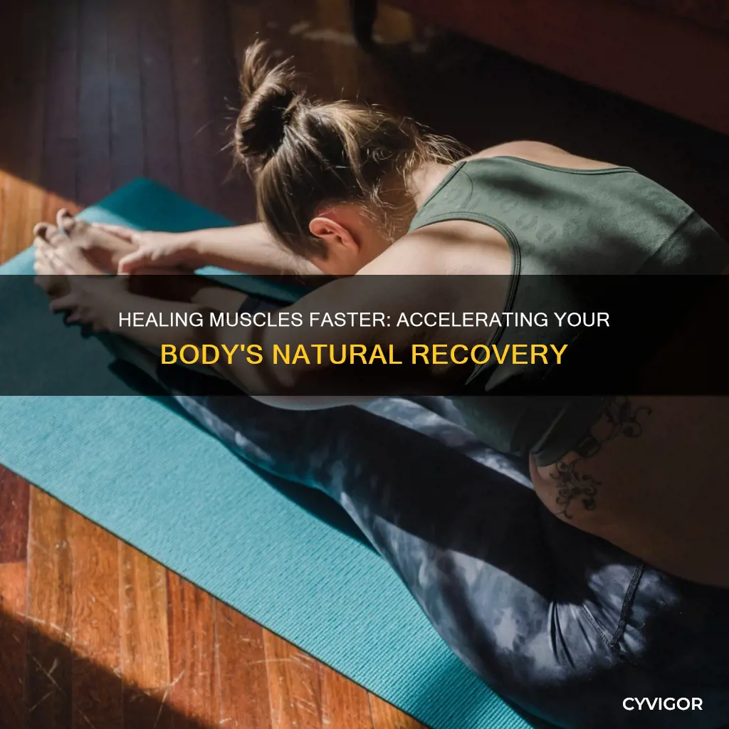 Healing Muscles Faster: Accelerating Your Body's Natural Recovery | CyVigor