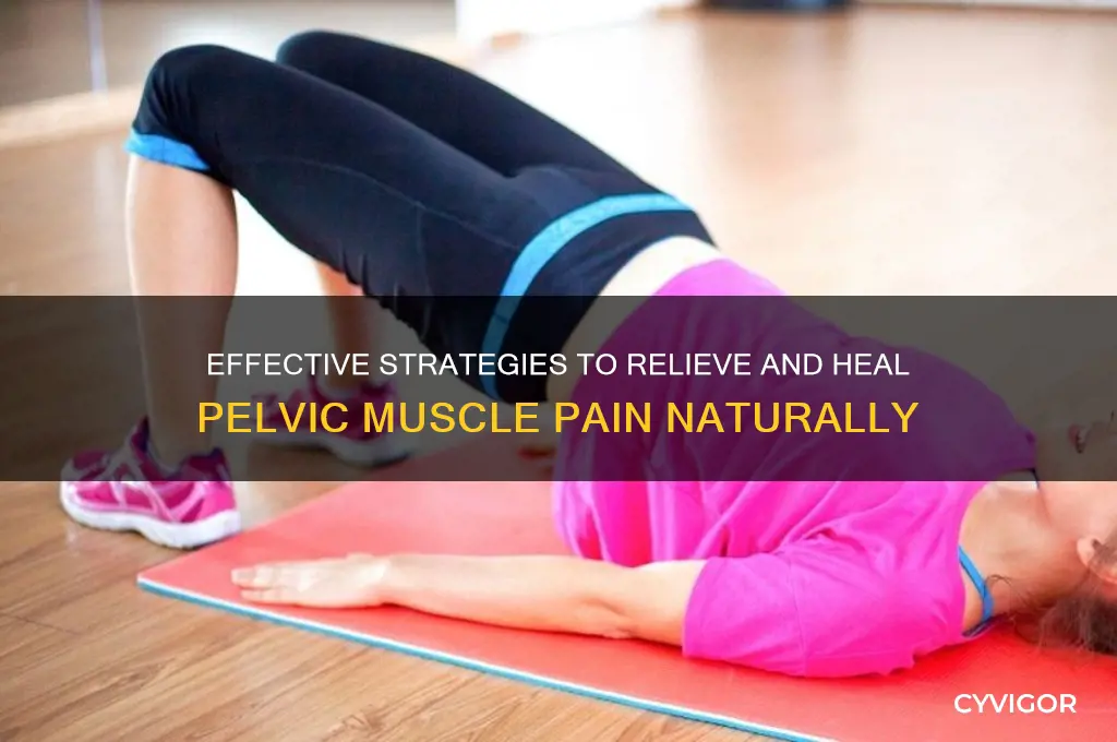 Effective Strategies To Relieve And Heal Pelvic Muscle Pain Naturally ...