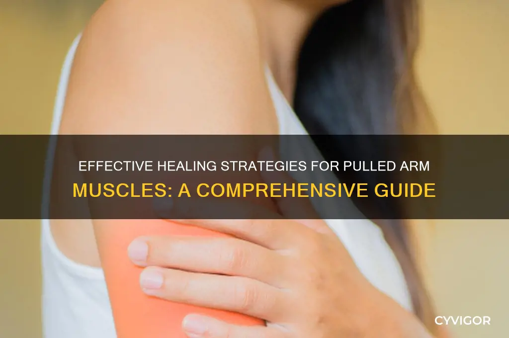 Effective Healing Strategies For Pulled Arm Muscles: A Comprehensive ...