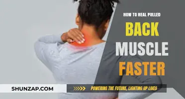 Effective Ways To Speed Up Pulled Back Muscle Recovery And Healing ...