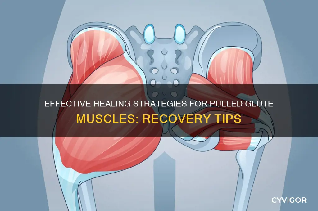 Effective Healing Strategies For Pulled Glute Muscles: Recovery Tips ...