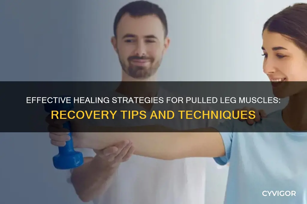 Effective Healing Strategies For Pulled Leg Muscles: Recovery Tips And ...
