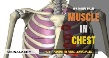 Pulled Pec Muscle Recovery: Understanding Healing Time And Treatment ...