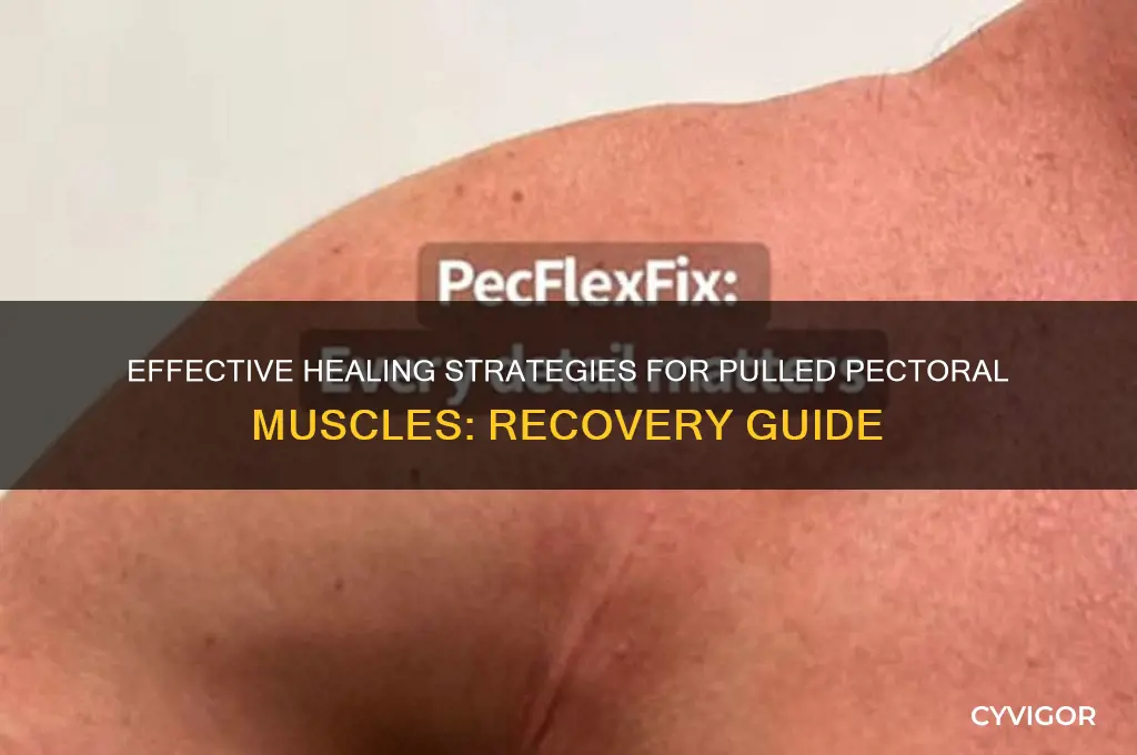 Effective Healing Strategies For Pulled Pectoral Muscles: Recovery ...