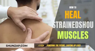 Healing Your Pectineus Muscle: A Comprehensive Guide | CyVigor