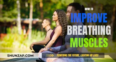 Strengthen Your Diaphragm: Simple Exercises For Better Breathing | CyVigor