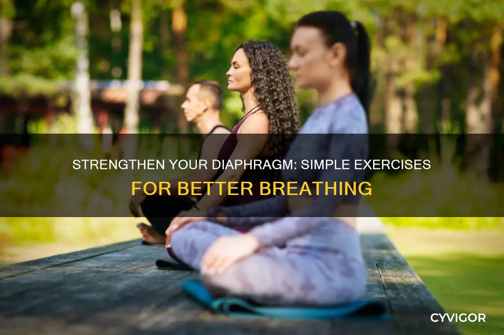 Strengthen Your Diaphragm: Simple Exercises For Better Breathing | CyVigor