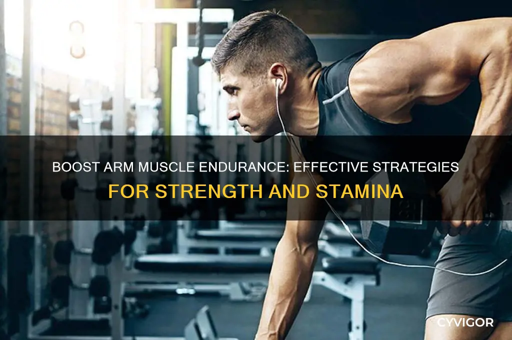 Boost Arm Muscle Endurance: Effective Strategies For Strength And ...