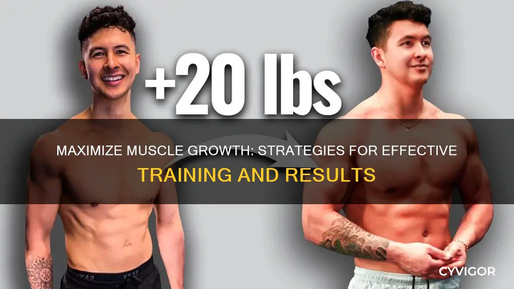 Maximize Muscle Growth: Strategies For Effective Training And Results ...