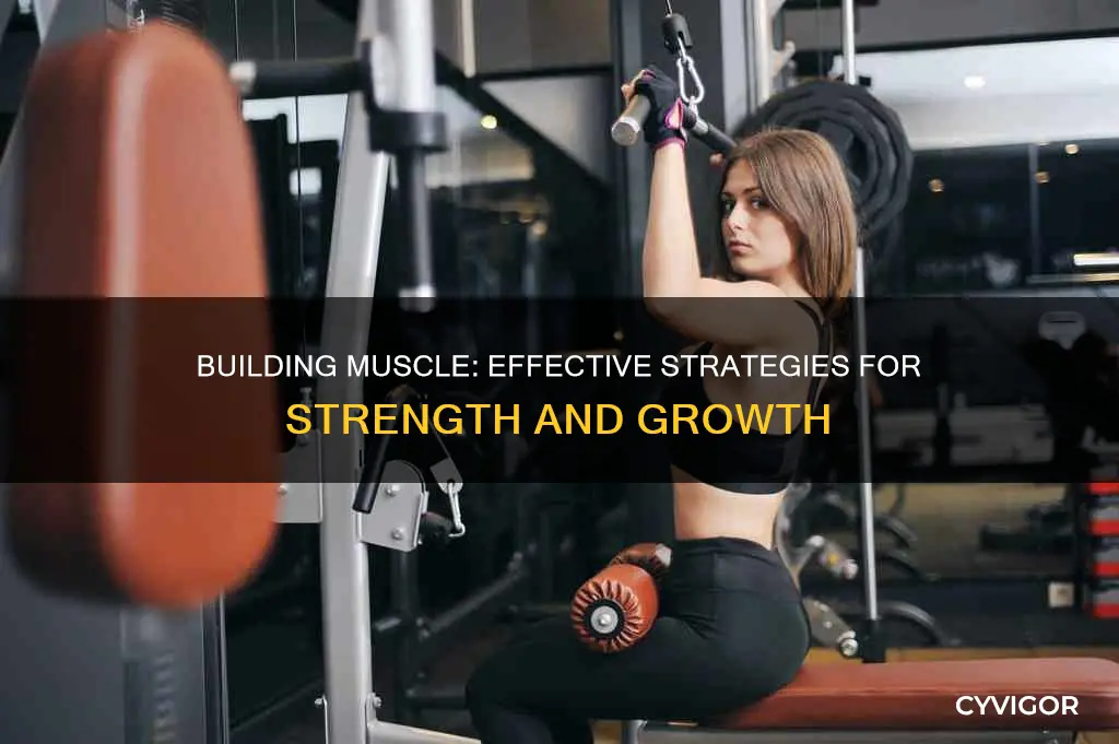 Building Muscle: Effective Strategies For Strength And Growth | CyVigor