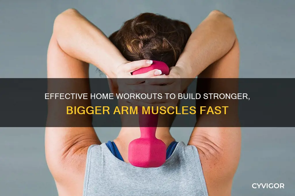 Effective Home Workouts To Build Stronger, Bigger Arm Muscles Fast ...