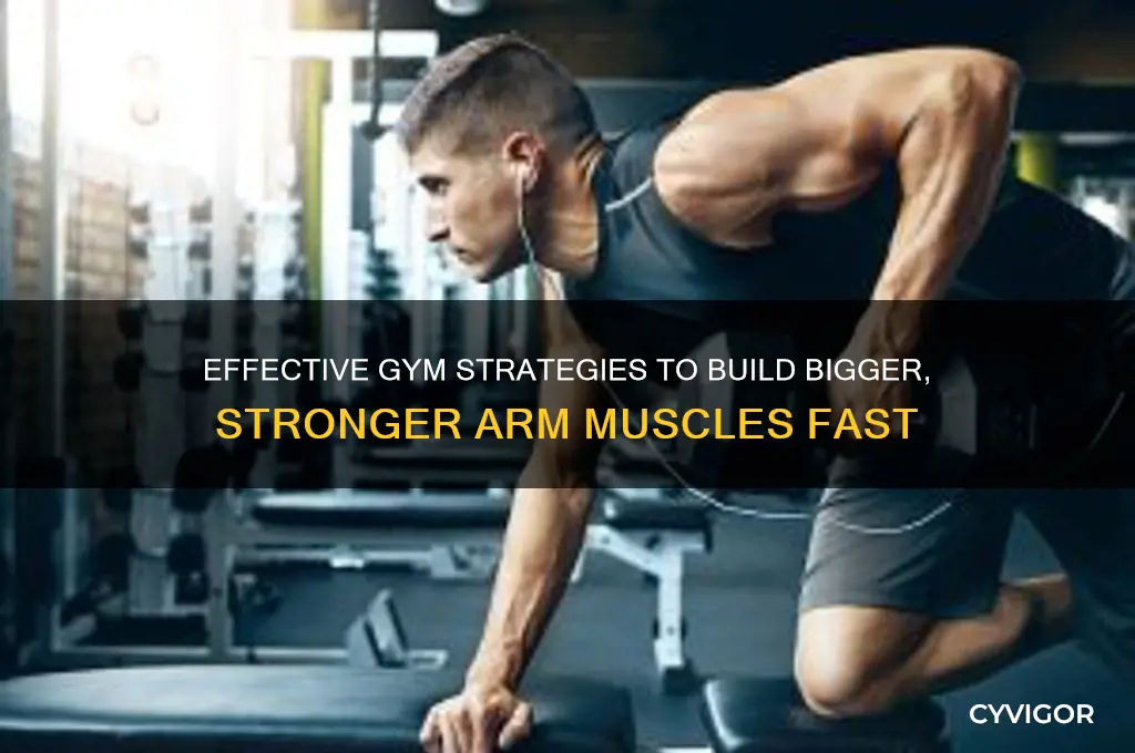 Effective Gym Strategies To Build Bigger, Stronger Arm Muscles Fast ...