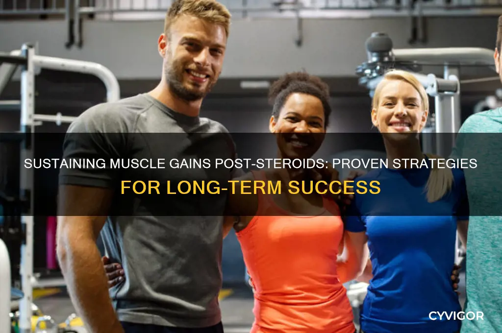 Sustaining Muscle Gains Post-Steroids: Proven Strategies For Long-Term ...