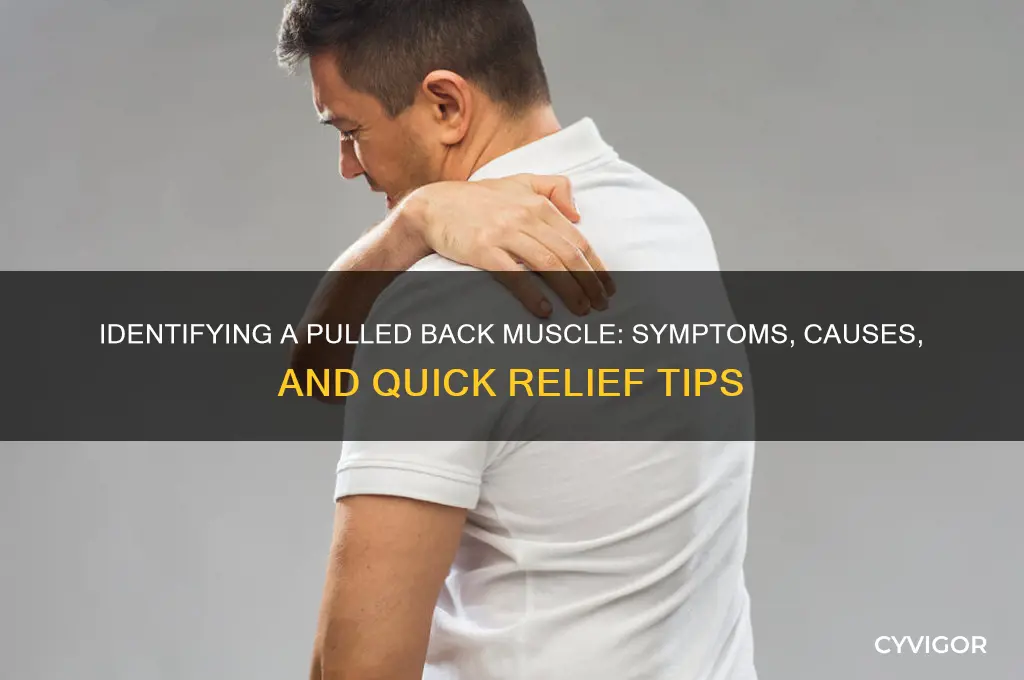 Identifying A Pulled Back Muscle: Symptoms, Causes, And Quick Relief ...