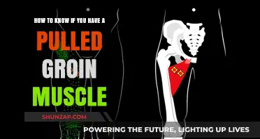 Identifying A Pulled Pectoral Muscle: Symptoms And Diagnosis Guide ...