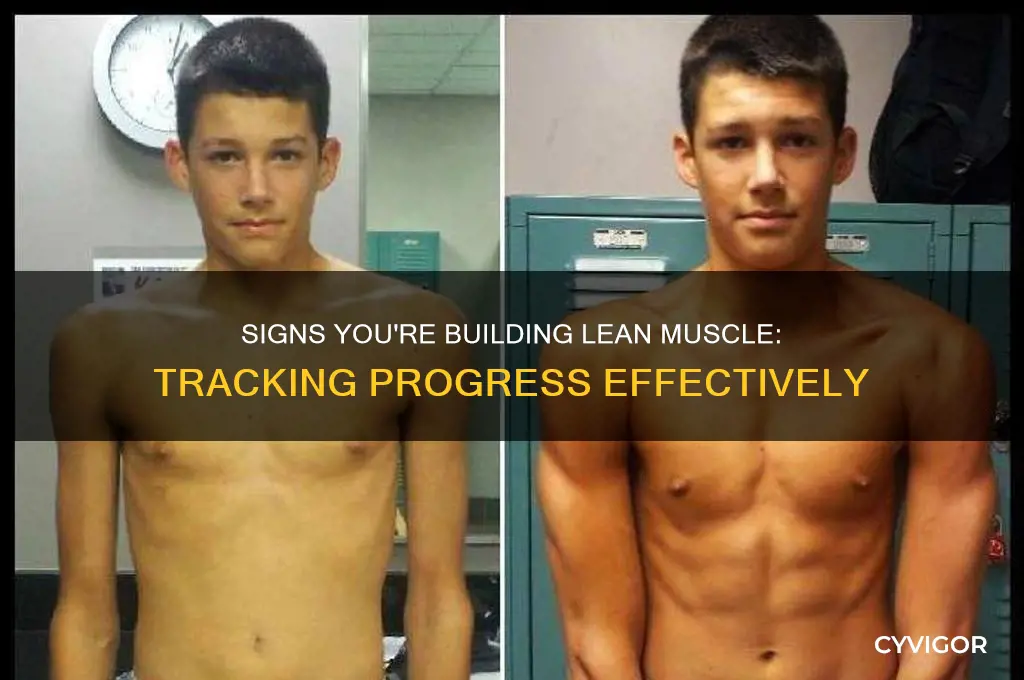 Signs You're Building Lean Muscle: Tracking Progress Effectively | CyVigor