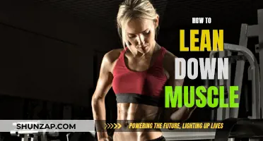 Landmark Ventrogluteal Muscles: A Precise Guide To Injection Technique ...