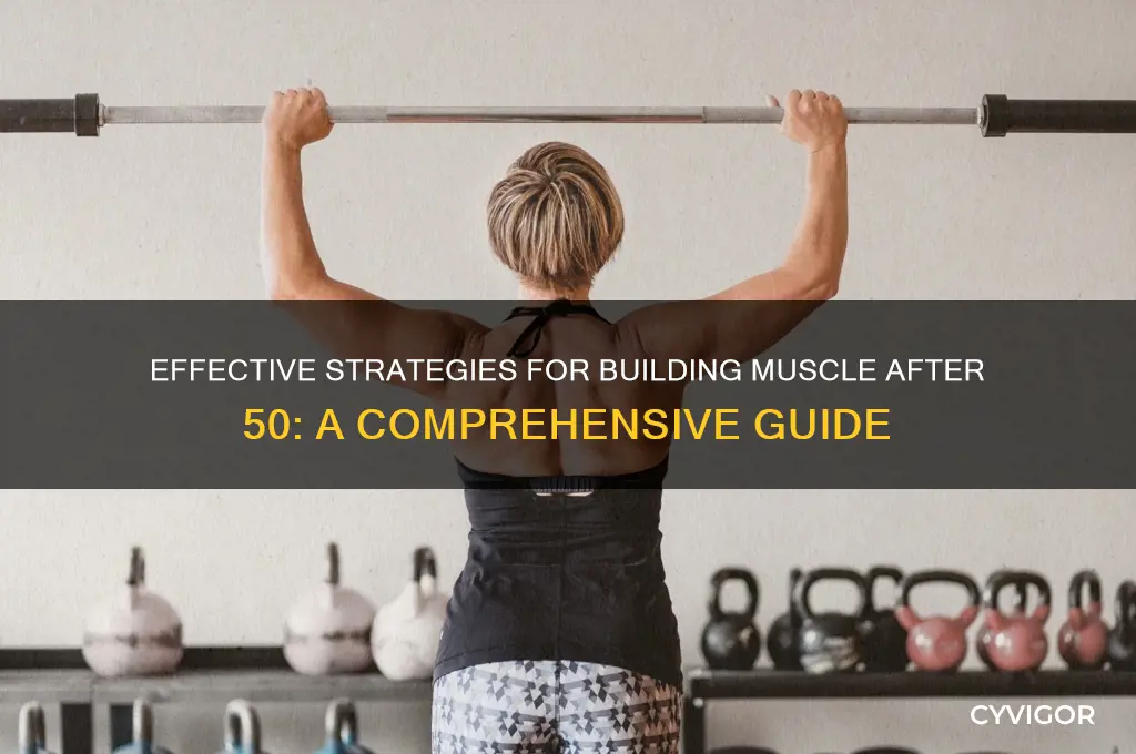 Effective Strategies For Building Muscle After 50: A Comprehensive ...
