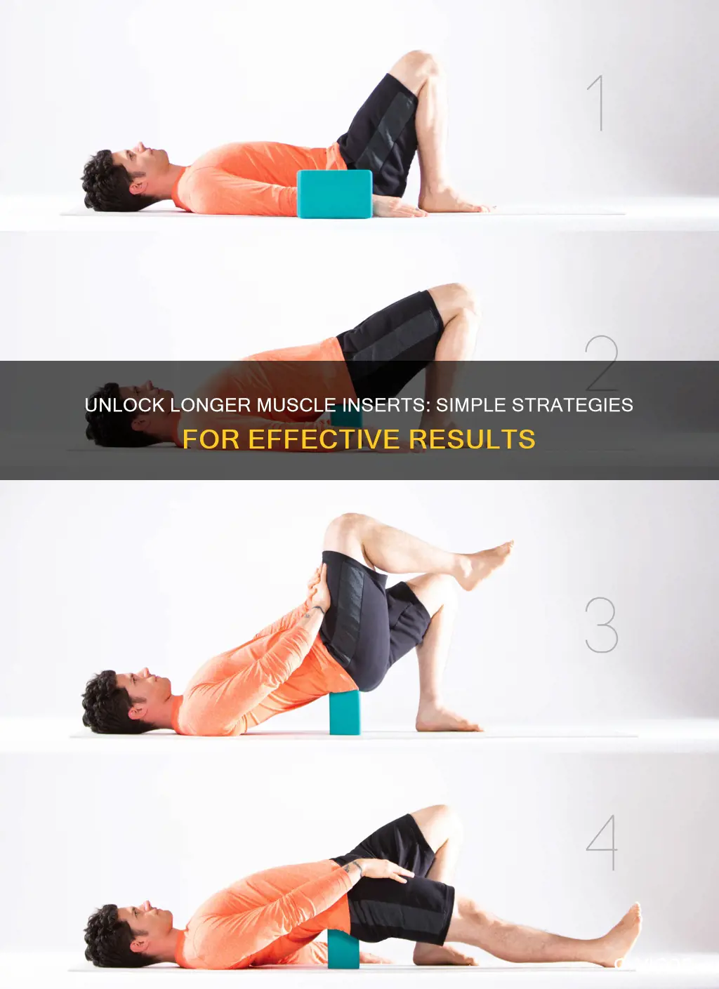 Unlock Longer Muscle Inserts: Simple Strategies For Effective Results ...