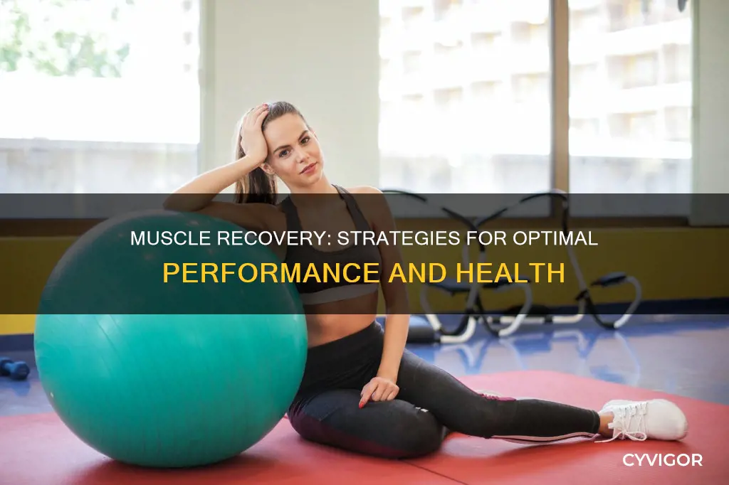Muscle Recovery: Strategies For Optimal Performance And Health | CyVigor