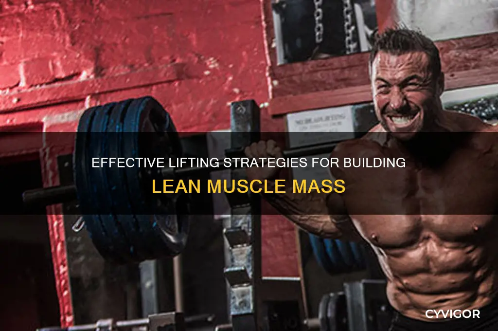 Effective Lifting Strategies For Building Lean Muscle Mass | CyVigor