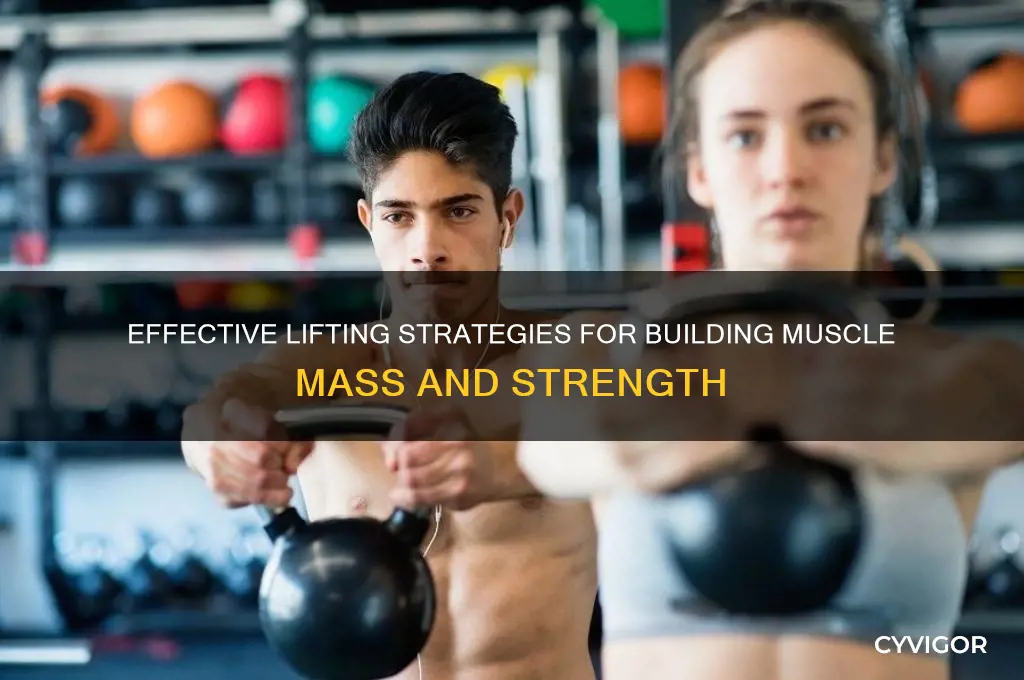Effective Lifting Strategies For Building Muscle Mass And Strength ...