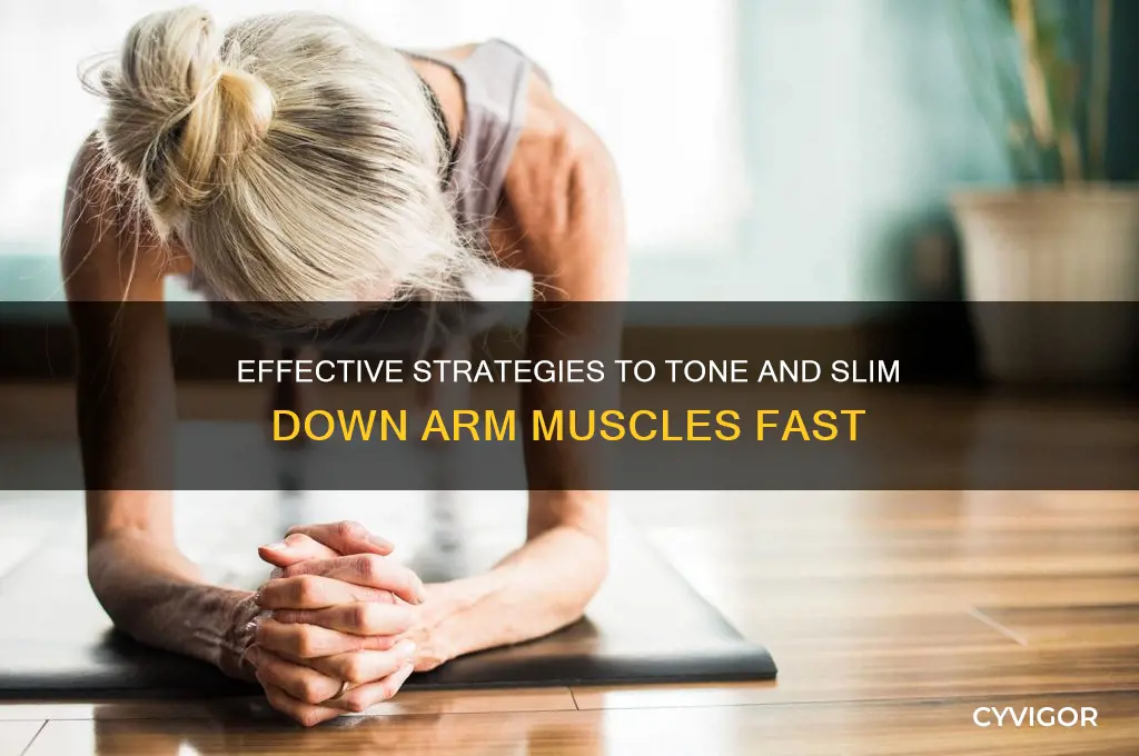 Effective Strategies To Tone And Slim Down Arm Muscles Fast | CyVigor