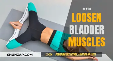 Loosening Diaphragm Muscles: Techniques For Relaxation And Improved ...