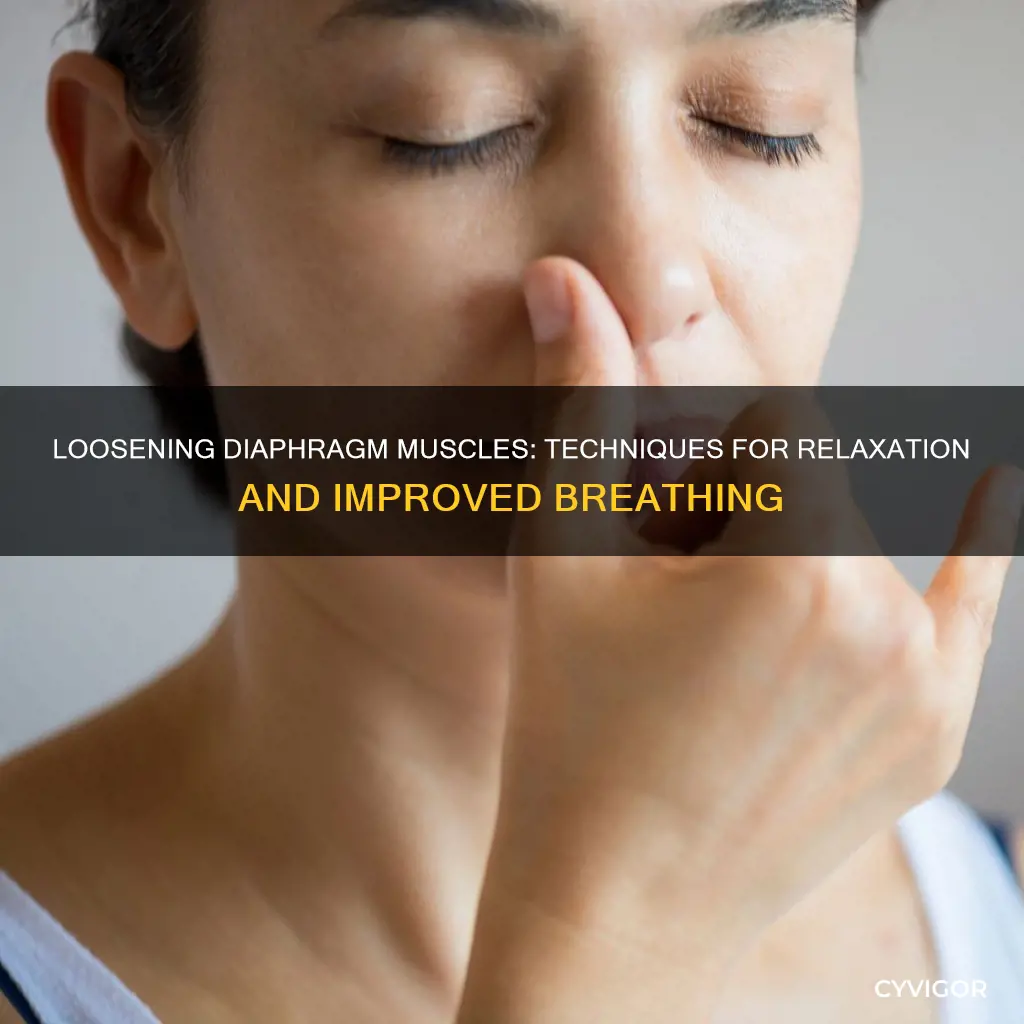 Loosening Diaphragm Muscles: Techniques For Relaxation And Improved ...