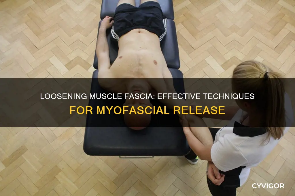 Loosening Muscle Fascia: Effective Techniques For Myofascial Release ...