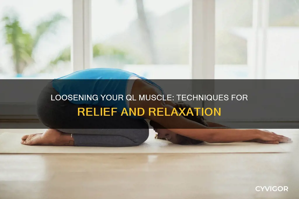 Loosening Your Ql Muscle: Techniques For Relief And Relaxation | CyVigor
