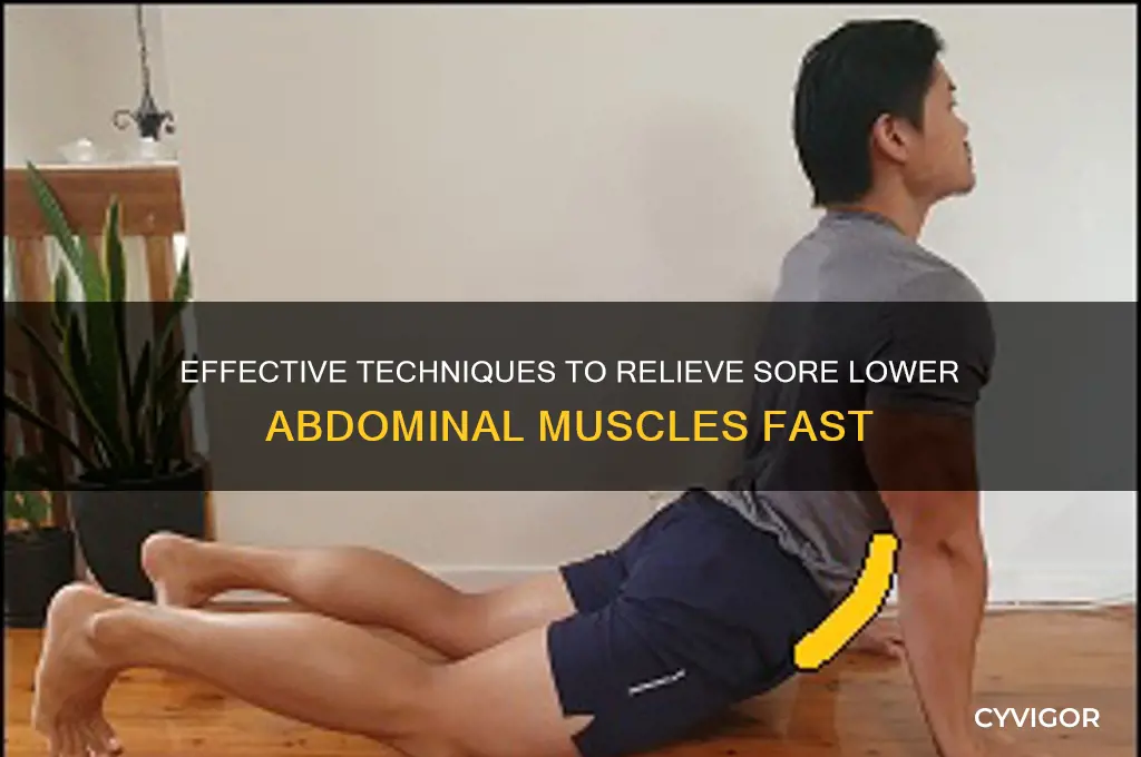 Effective Techniques To Relieve Sore Lower Abdominal Muscles Fast | CyVigor