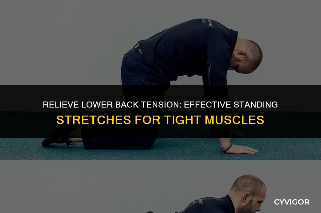 Relieve Lower Back Tension: Effective Standing Stretches For Tight ...