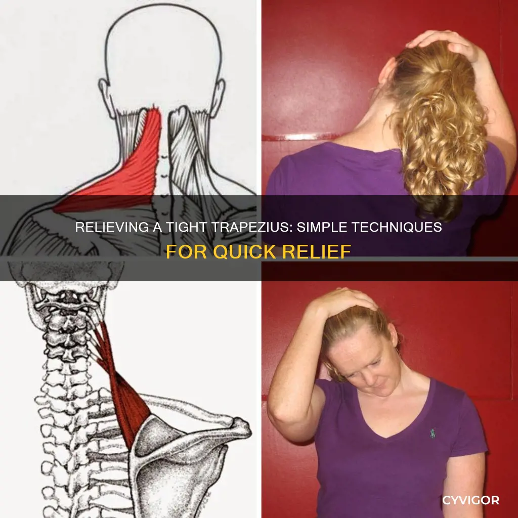 Relieving A Tight Trapezius: Simple Techniques For Quick Relief | CyVigor