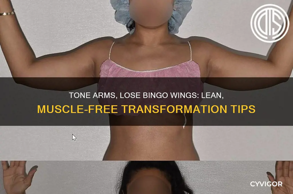 Tone Arms, Lose Bingo Wings: Lean, Muscle-Free Transformation Tips ...