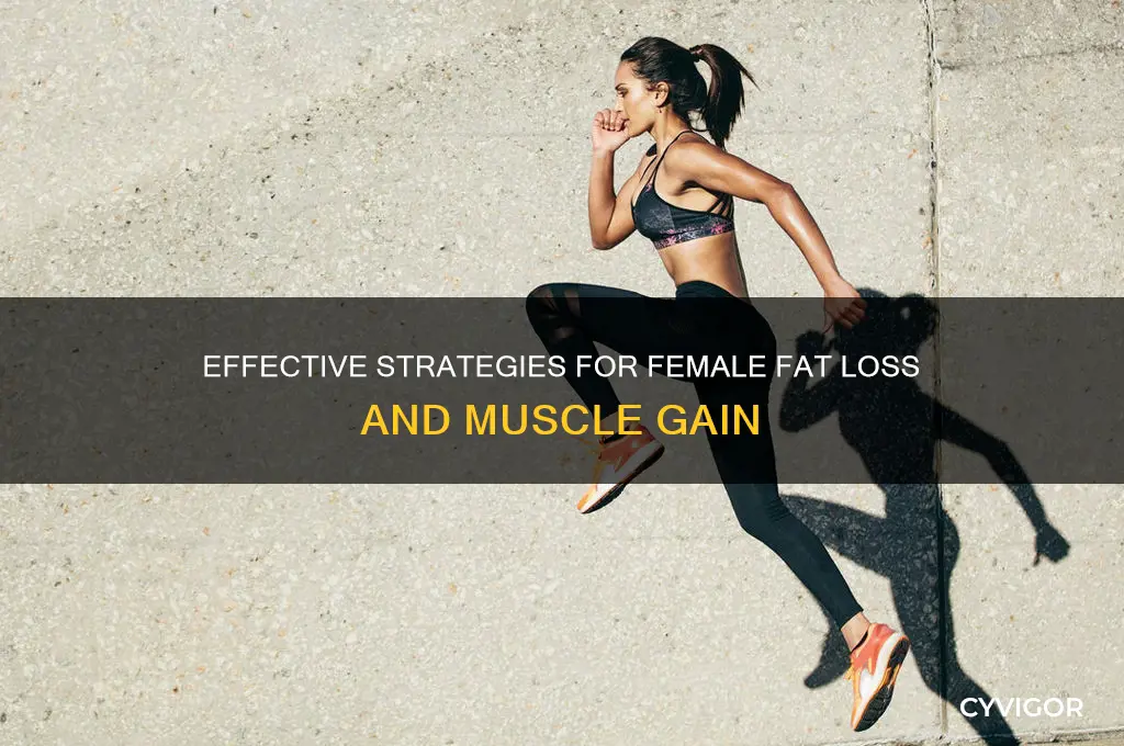Effective Strategies For Female Fat Loss And Muscle Gain | CyVigor