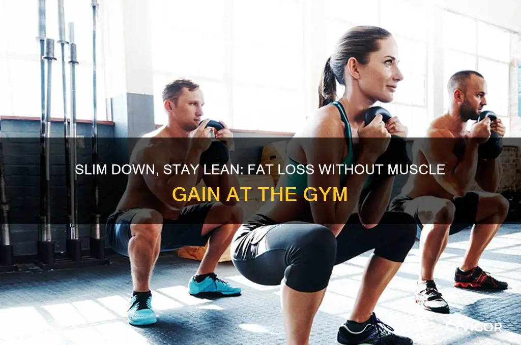 Slim Down, Stay Lean: Fat Loss Without Muscle Gain At The Gym | CyVigor