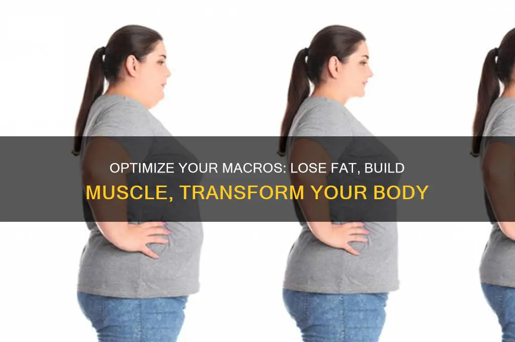 Optimize Your Macros: Lose Fat, Build Muscle, Transform Your Body | CyVigor
