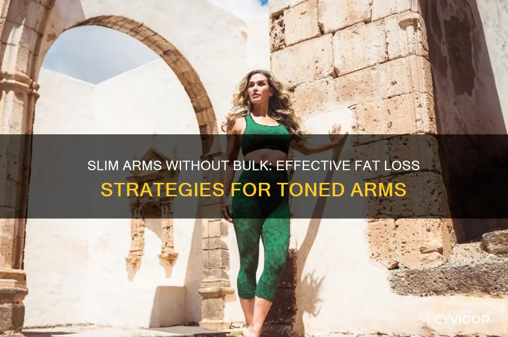 Slim Arms Without Bulk: Effective Fat Loss Strategies For Toned Arms ...
