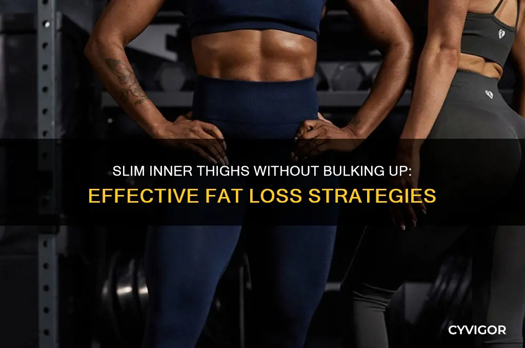Slim Inner Thighs Without Bulking Up: Effective Fat Loss Strategies ...