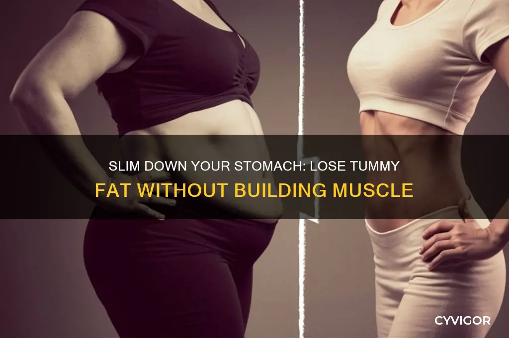 Slim Down Your Stomach: Lose Tummy Fat Without Building Muscle | CyVigor