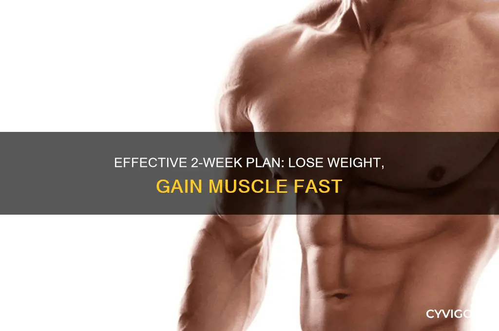 Effective 2-Week Plan: Lose Weight, Gain Muscle Fast | CyVigor