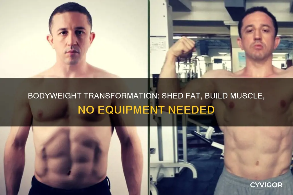 Bodyweight Transformation: Shed Fat, Build Muscle, No Equipment Needed ...
