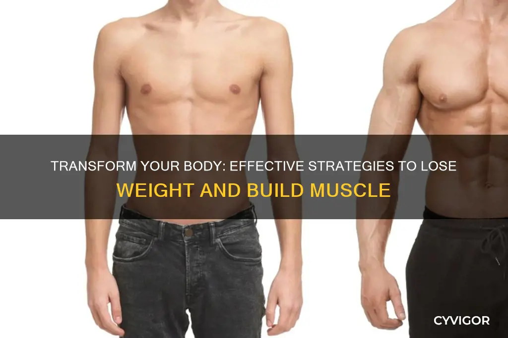 Transform Your Body: Effective Strategies To Lose Weight And Build ...