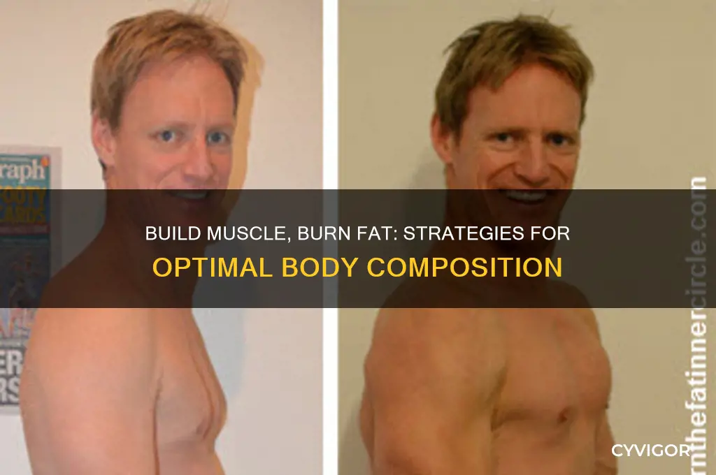 Build Muscle, Burn Fat: Strategies For Optimal Body Composition | CyVigor