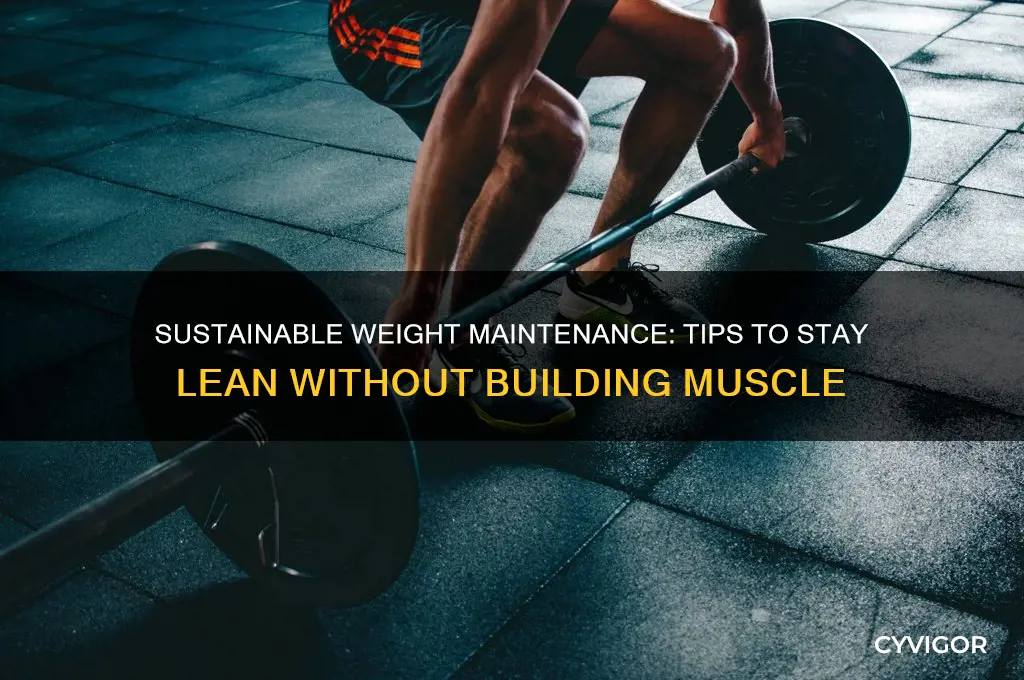 Sustainable Weight Maintenance: Tips To Stay Lean Without Building ...
