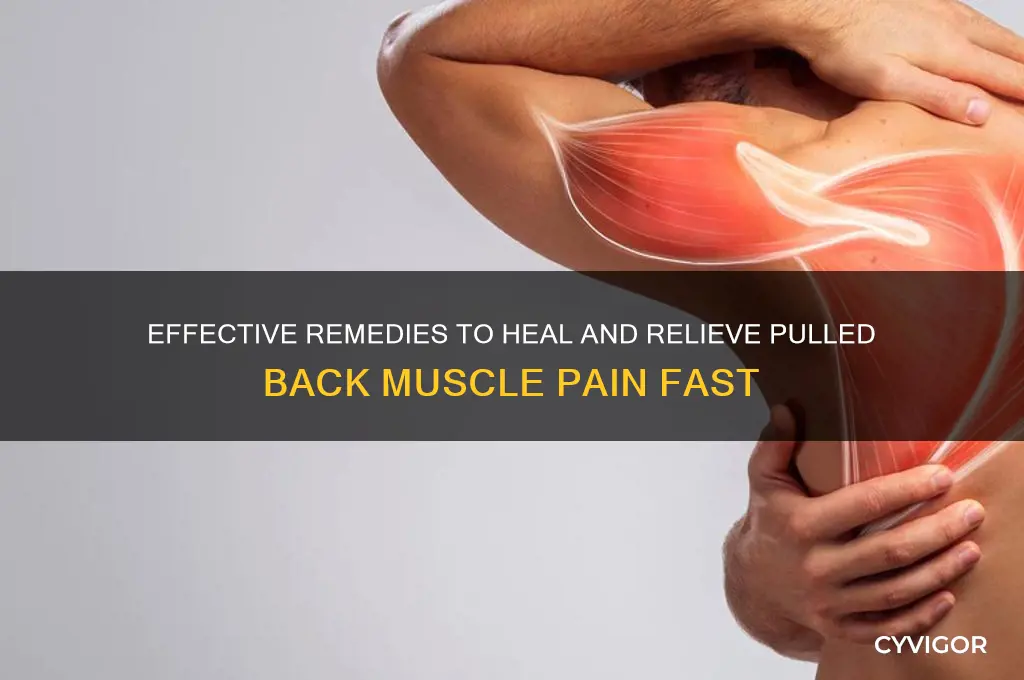 Effective Remedies To Heal And Relieve Pulled Back Muscle Pain Fast ...