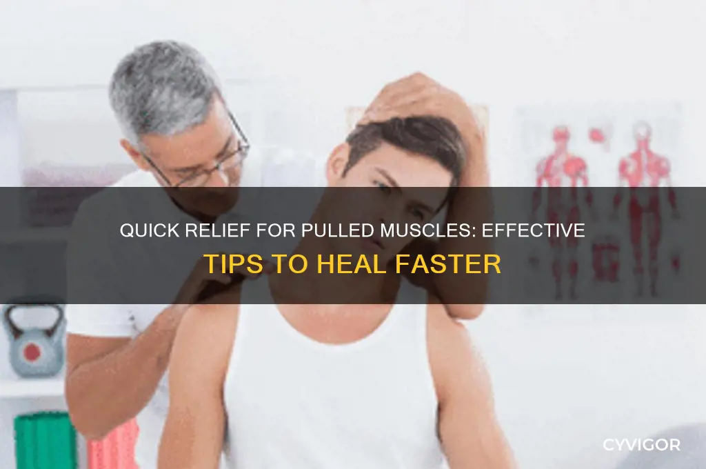 Quick Relief For Pulled Muscles: Effective Tips To Heal Faster | CyVigor
