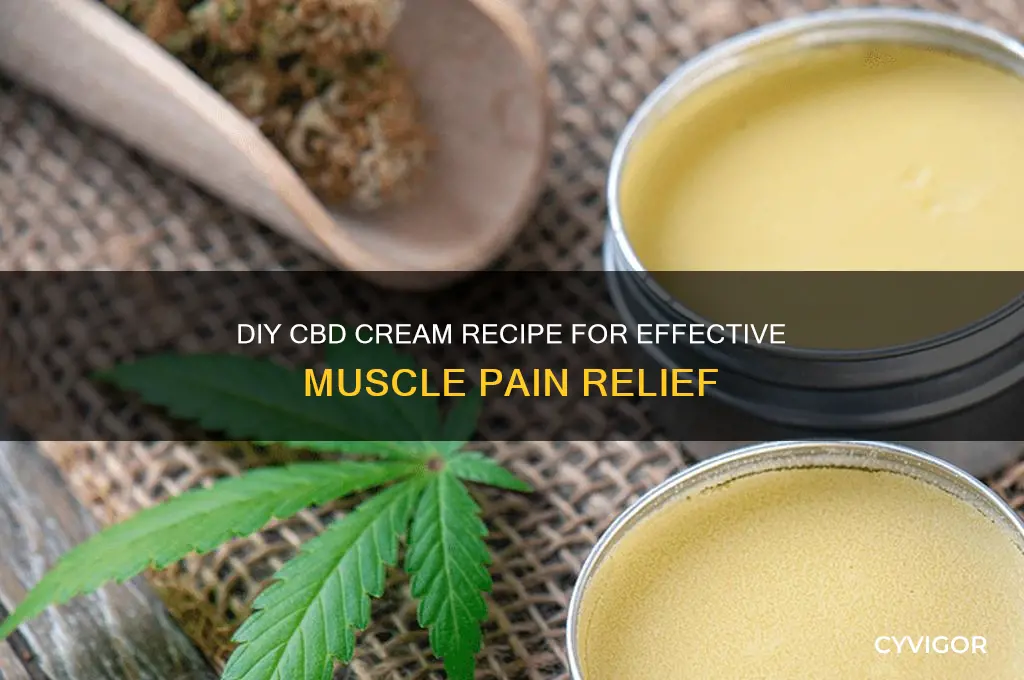 Diy Cbd Cream Recipe For Effective Muscle Pain Relief | CyVigor