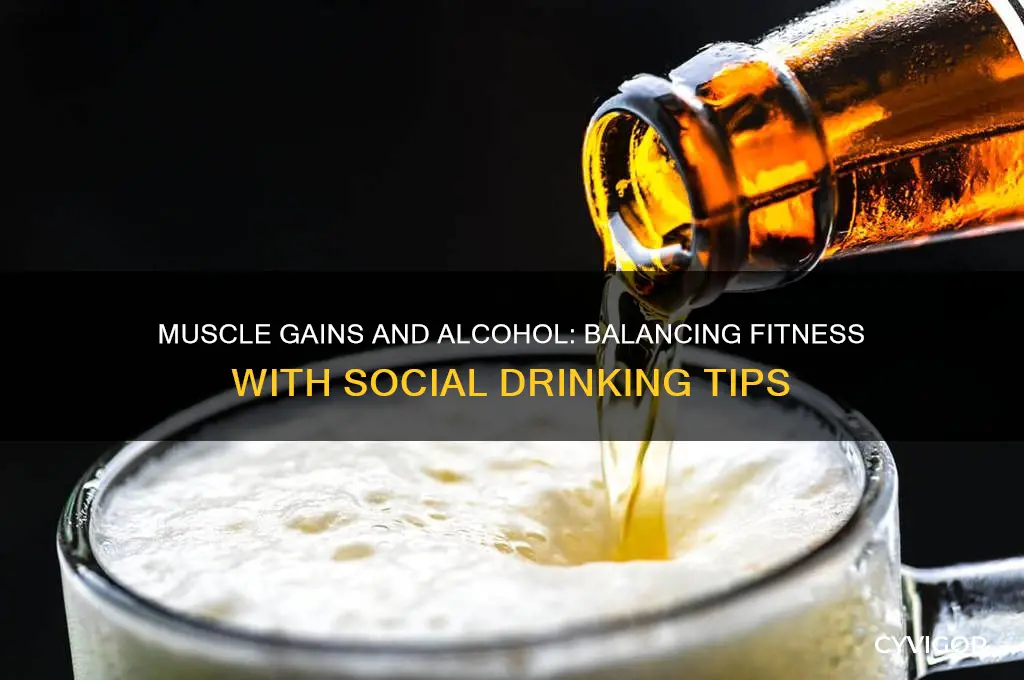 Muscle Gains And Alcohol: Balancing Fitness With Social Drinking Tips ...
